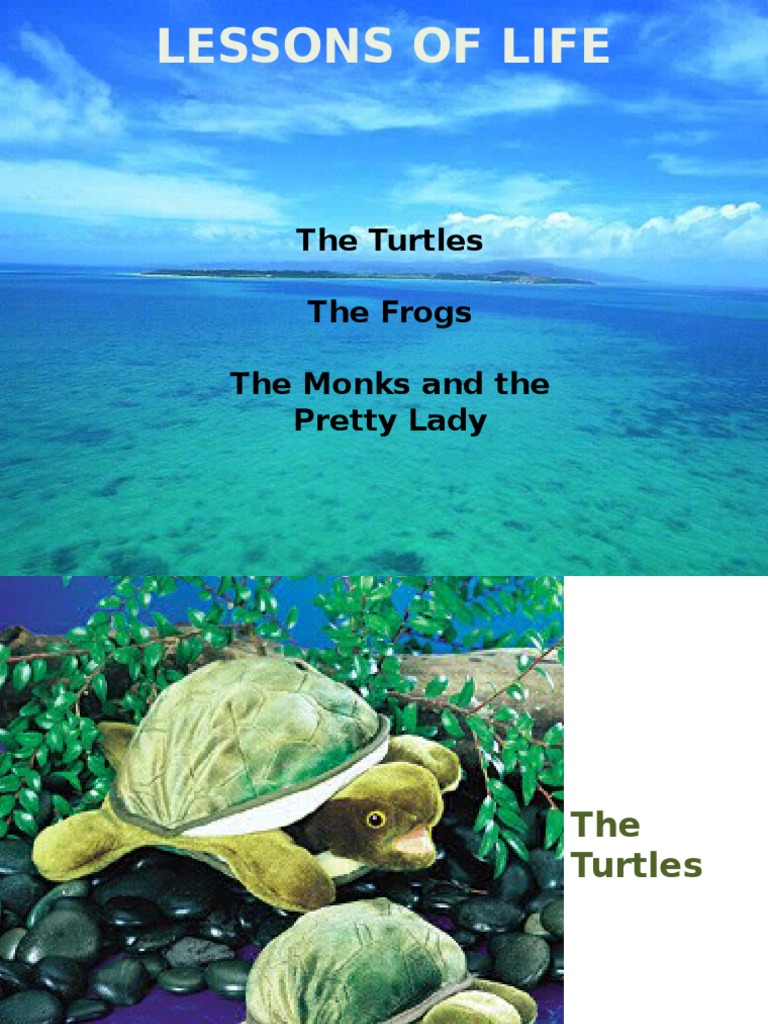 Lessons of Life: The Turtles The Frogs The Monks and The Pretty Lady ...