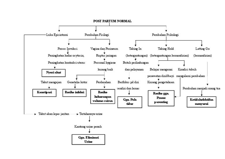 Pathway Jadi Post Partum | PDF
