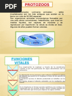 Prospecto-INMUFLU TBS - JAB | PDF | Sistema inmune | Linfocitos