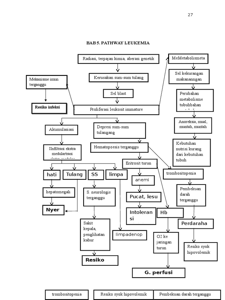 Pathway Leukimia New | PDF