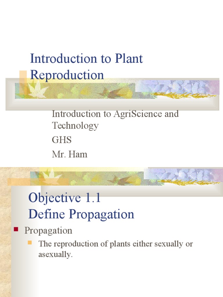 Introduction To Plant Reproduction | PDF | Flowers | Sexual Reproduction