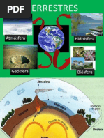 Bordes Transformantes | PDF | Placas tectónicas | Falla (geología)