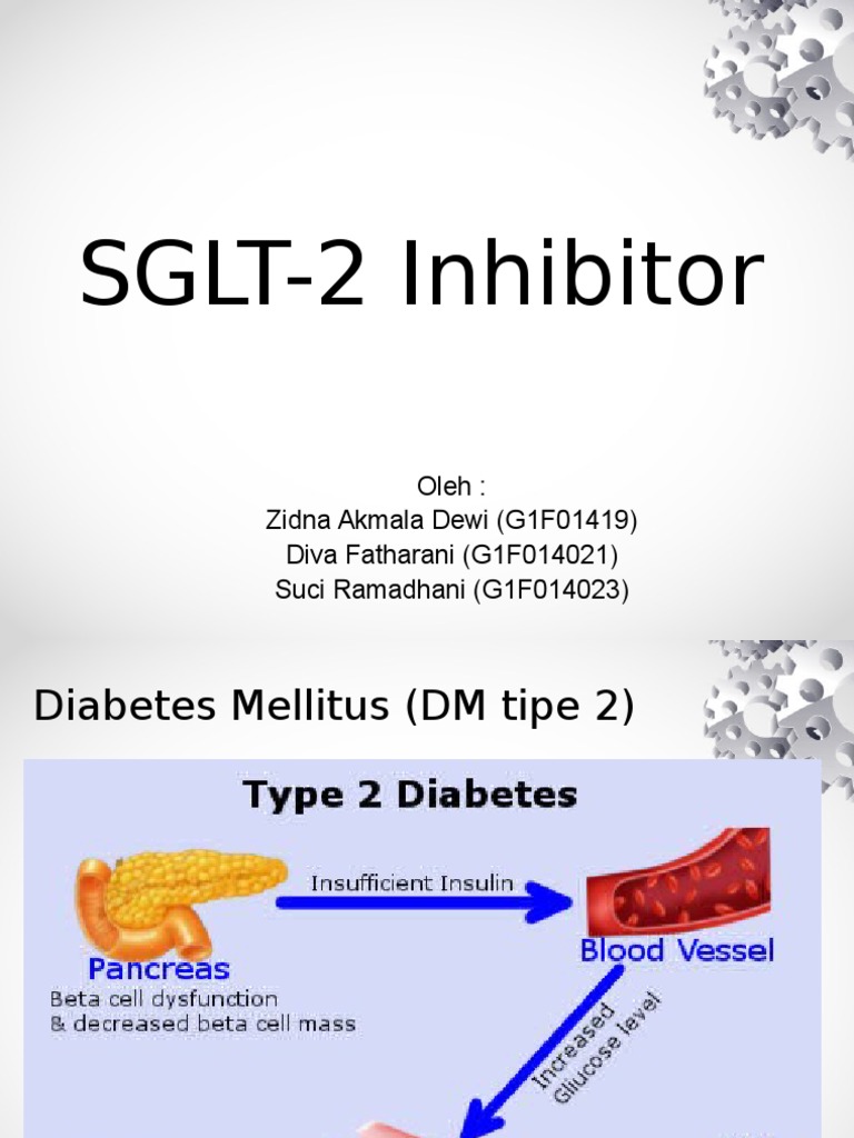 SGLT 2 Inhibitor | PDF
