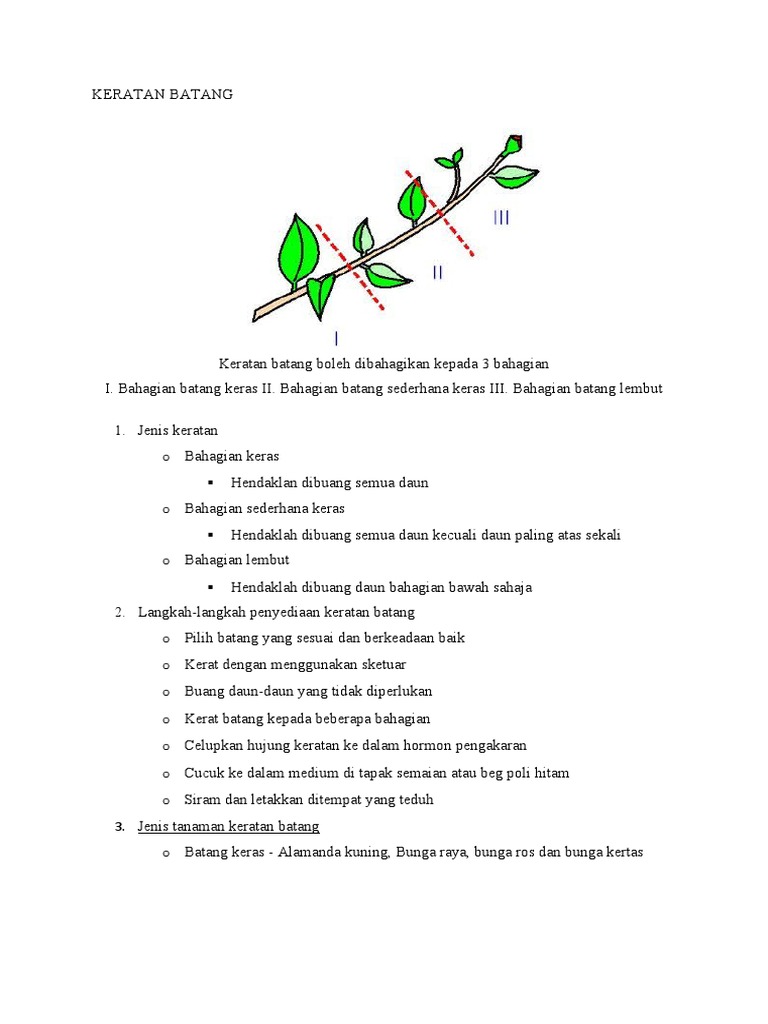 Keratan Batang | PDF