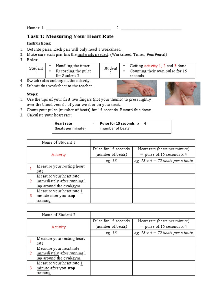 Task 1 Measuring Heart Rate Activity | PDF