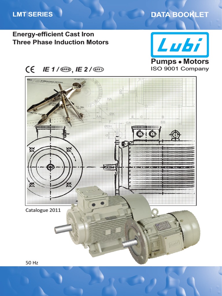 Lubi Motor | PDF | Electric Motor | Engines
