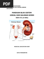 Buku Panduan Penatalaksanaan Batu Saluran Kemih | PDF