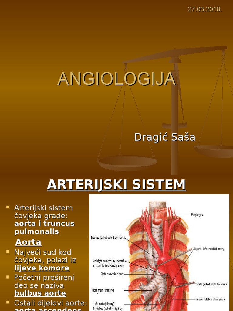 Angiologija | PDF