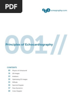 ASE Guidelines for Chamber Quantification | PDF | Ventricle (Heart ...