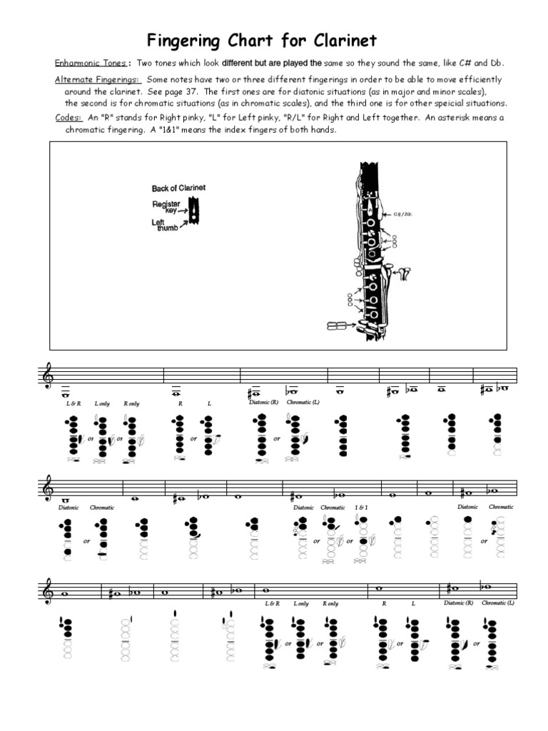 Clarinet Fingering Chart Guide | PDF
