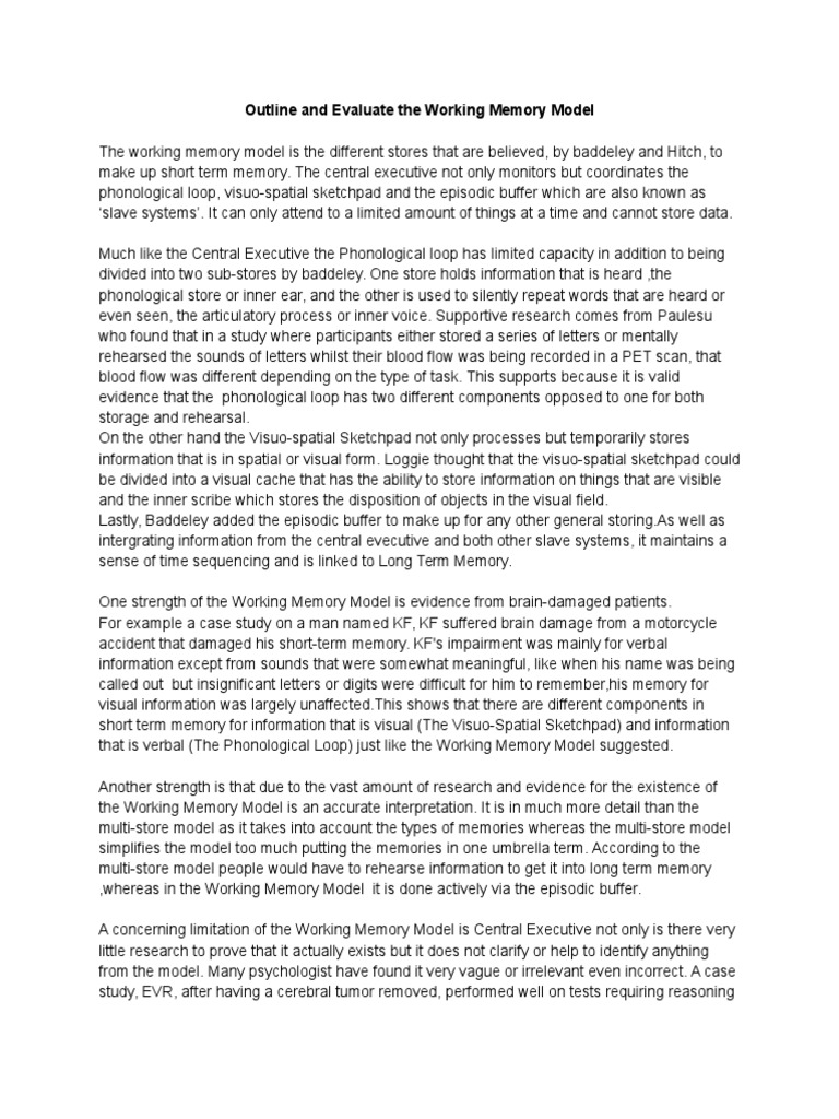 WMM Essay Edited | PDF | Memory | Cognitive Neuroscience