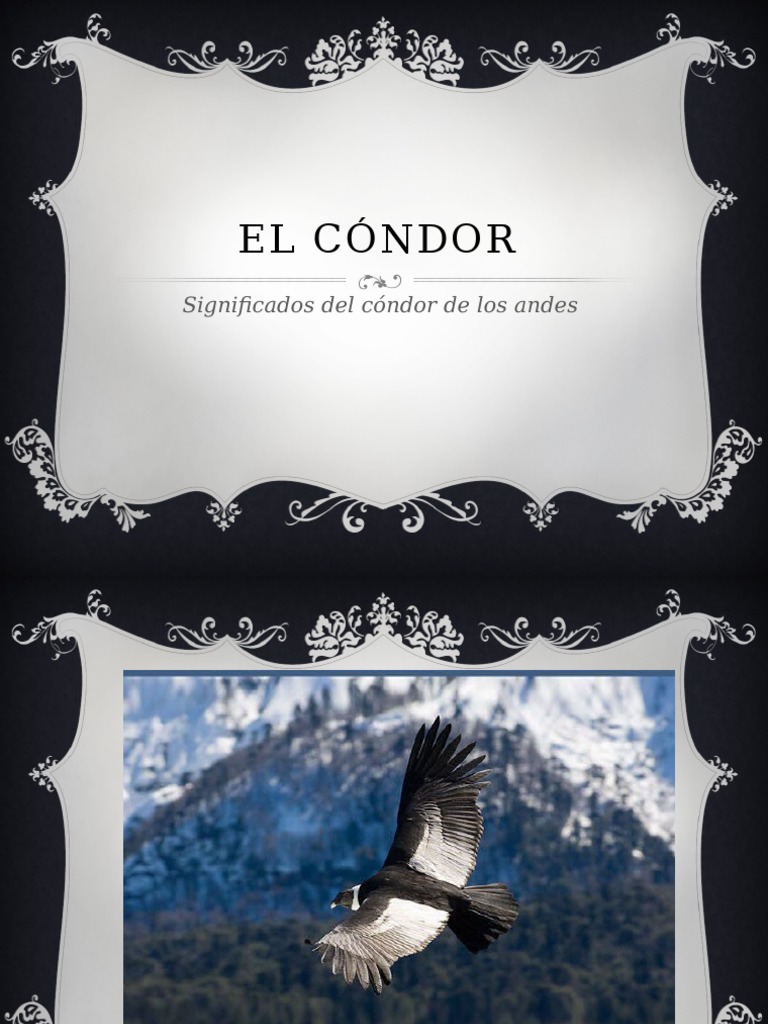 El Condor Andino | PDF | Imperio Inca | Aves