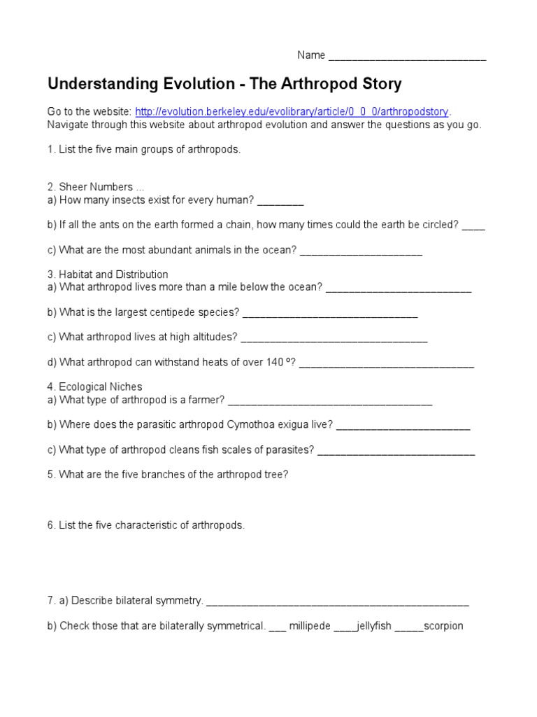 Arthropod Story Evolution Activity | PDF | Arthropods | Protostomes