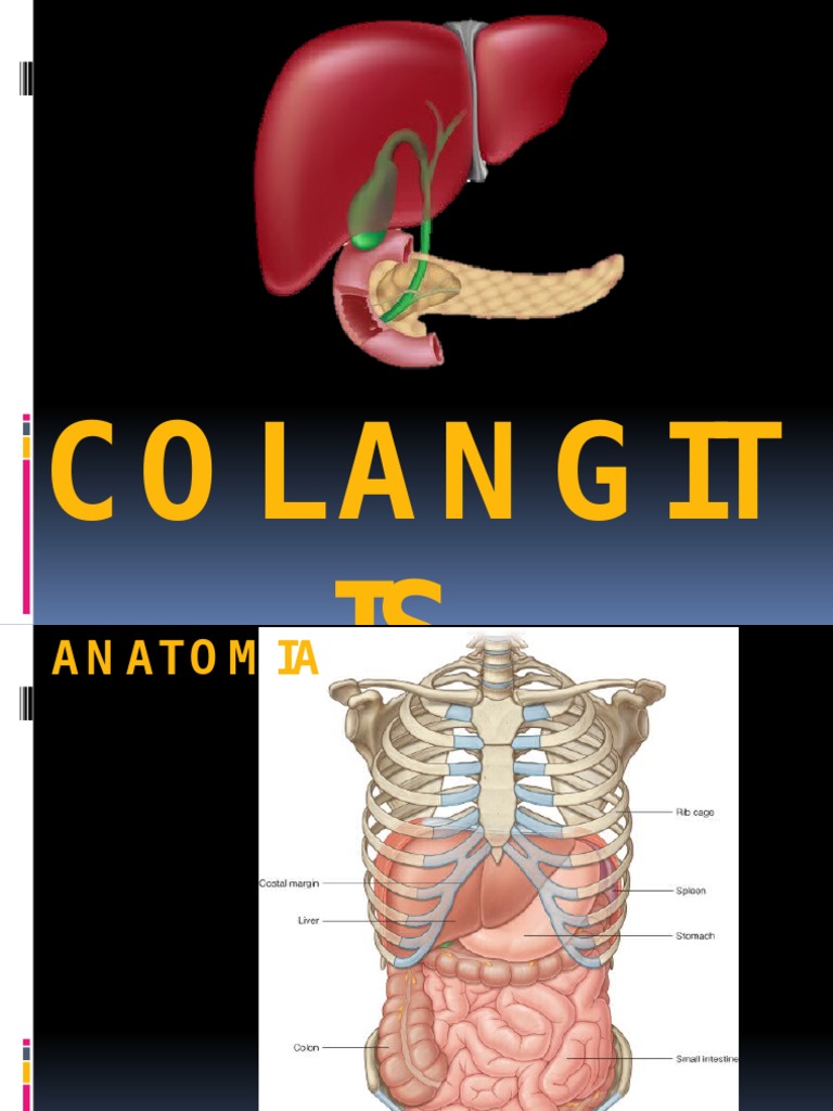 COLANGITIS | Enfermedades y trastornos | Gastroenterología