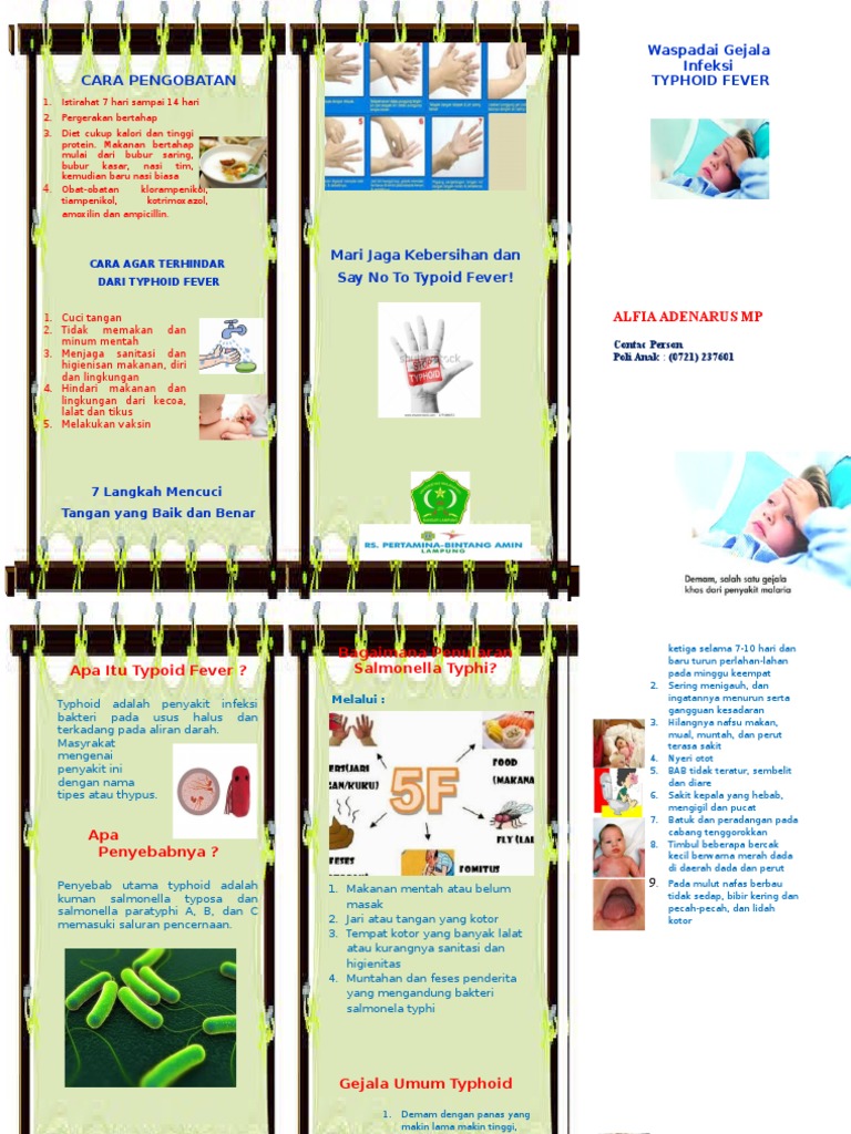 Leaflet Typhoid Fever Jadi | PDF
