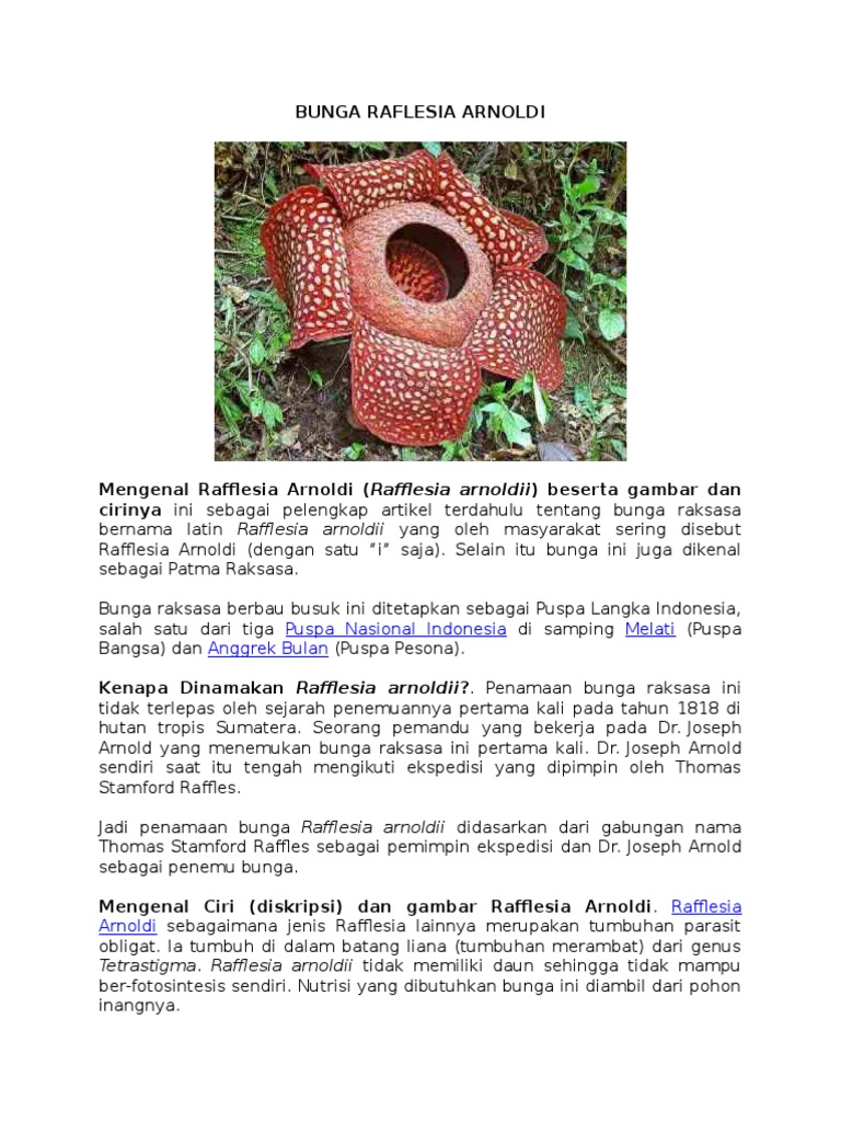 Bunga Raflesia Arnoldi | PDF | Kajian Bahasa Asing