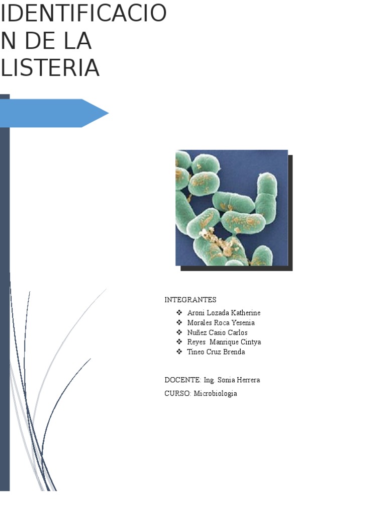 Listeria | PDF | Microbiología | Especialidades Medicas