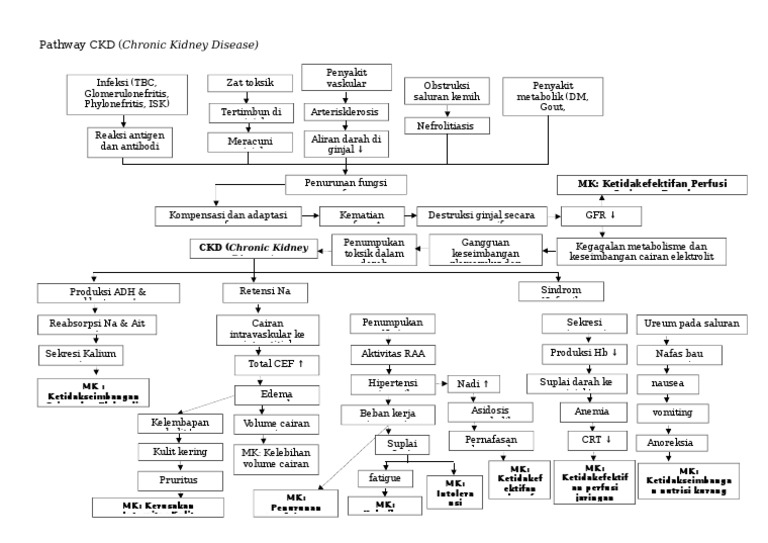 Pathway CKD (Chronic Kidney Disease) : MK: Ketidakefektifan Perfusi ...