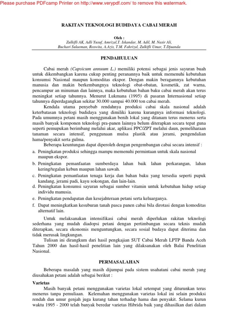 Teknologi Budidaya Cabai Merah | PDF | Teknologi & Rekayasa