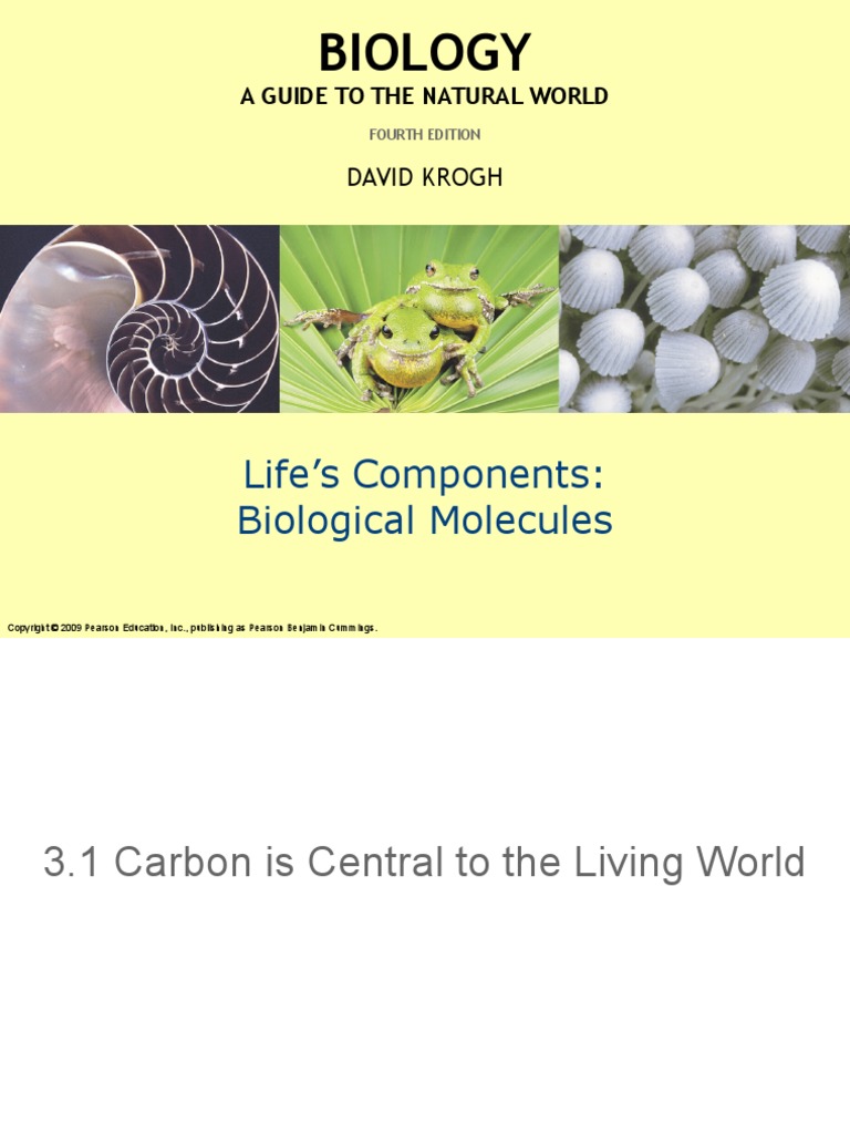Biological Molecules | PDF | Nucleic Acids | Lipid