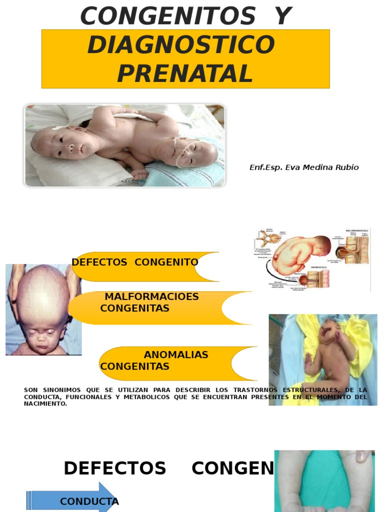 Diagnóstico Prenatal de Defectos Congénitos | PDF | El embarazo ...