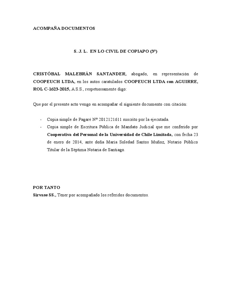 Acompaña Documentos para Formalizar | PDF