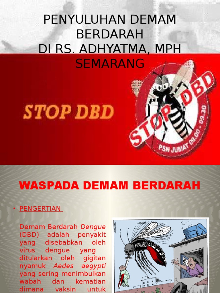 Penyuluhan Demam Berdarah Koas | PDF