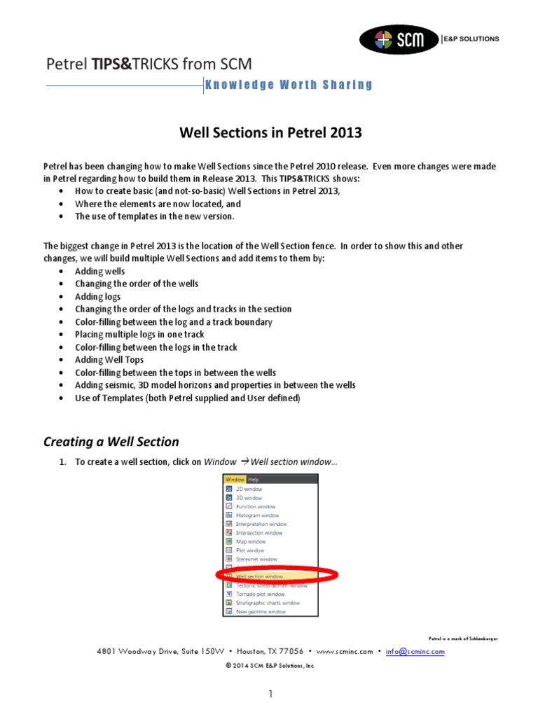 SCM TIPSTRICKS Petrel Well Sections 2013 July14 PDF | PDF | Icon ...