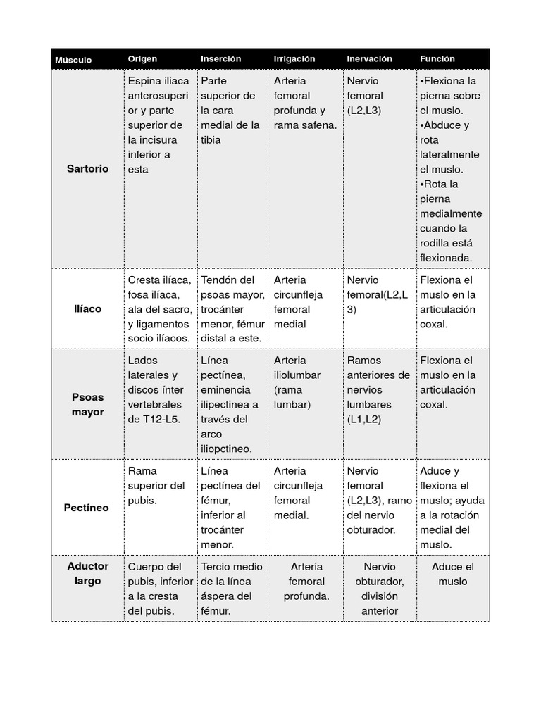 Triangulo de Scarpa | PDF | Extremidades (anatomía) | Anatomía del ...
