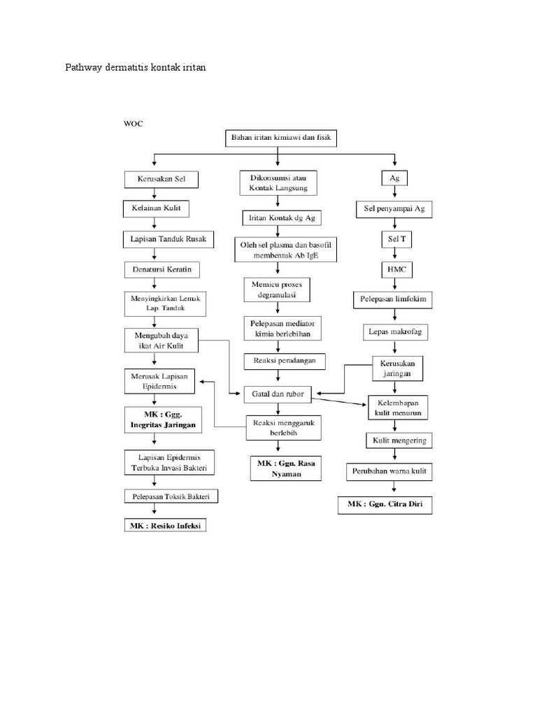 Pathway Dermatitis Kontak Iritan | PDF