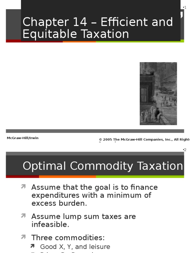 Chapter 14 - Efficient and Equitable Taxation: Public Finance | PDF ...