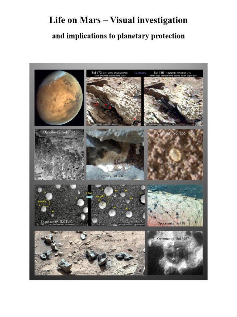 Life On Mars - Visual Investigation and Implications To Planetary ...