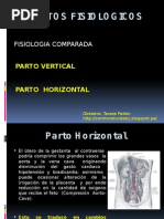 Efecto Poseiro | PDF | Placenta | Feto