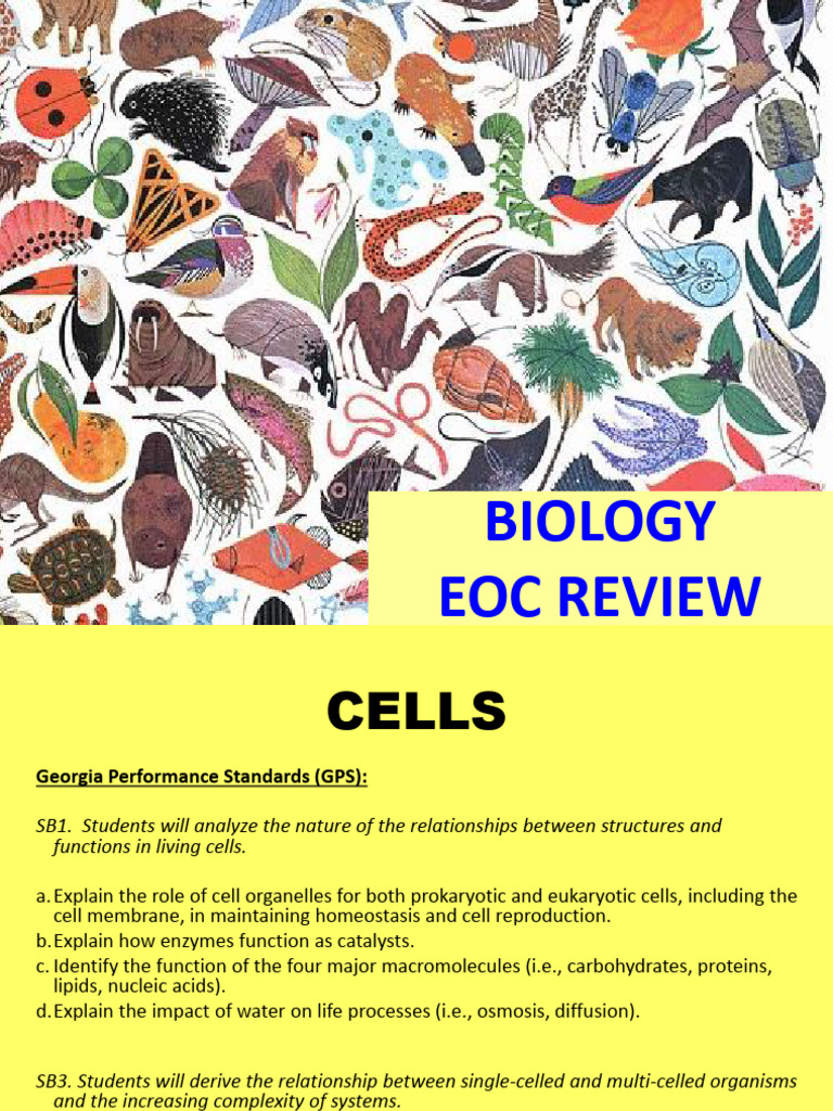 Biology EOC Review ALL Standards | PDF | Dominance (Genetics) | Allele
