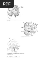 Stamm Gastrostomy Procedure Guide | PDF | Surgical Suture | Medicine