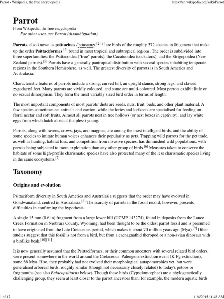 Parrots | PDF | Parrot | Birds