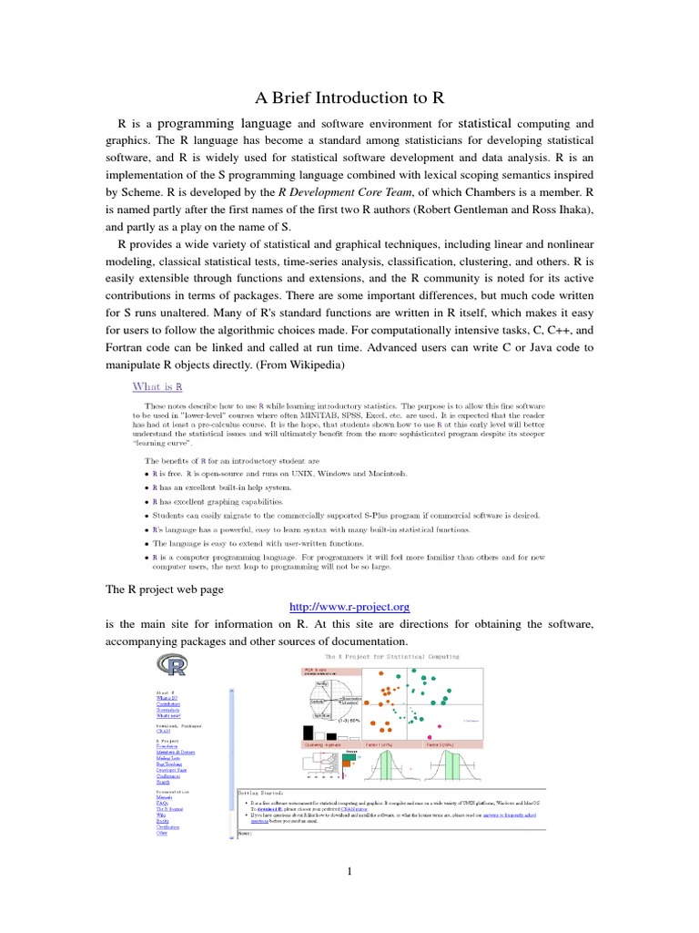Introduction to R Programming Basics | PDF | R (Programming Language ...
