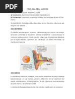 Organización del Colículo Inferior | PDF | Corteza cerebral | Neurona