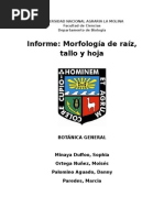 Glosario de briofitos y caulidios | PDF | Hoja | Plantas