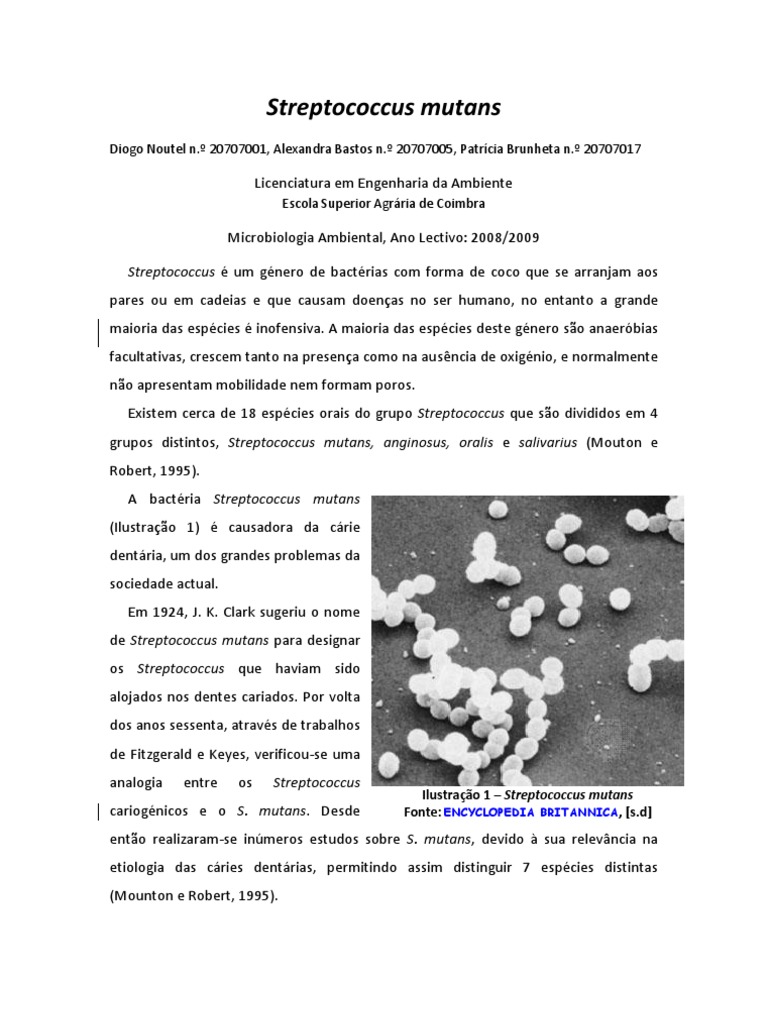 05 17 Streptococcus Mutans | PDF | Dente | Estreptococos