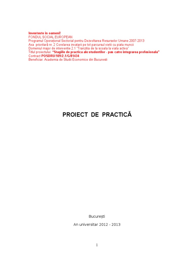 Proiect Practica Lefter Maria | PDF