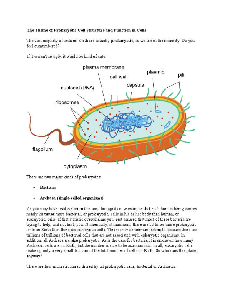 the-theme-of-prokaryotic-cell-structure-and-function-in-cells