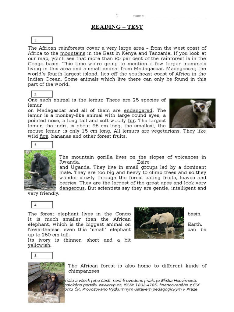 Wild Animals of the African Rainforest | PDF | Hominidae | Democratic ...