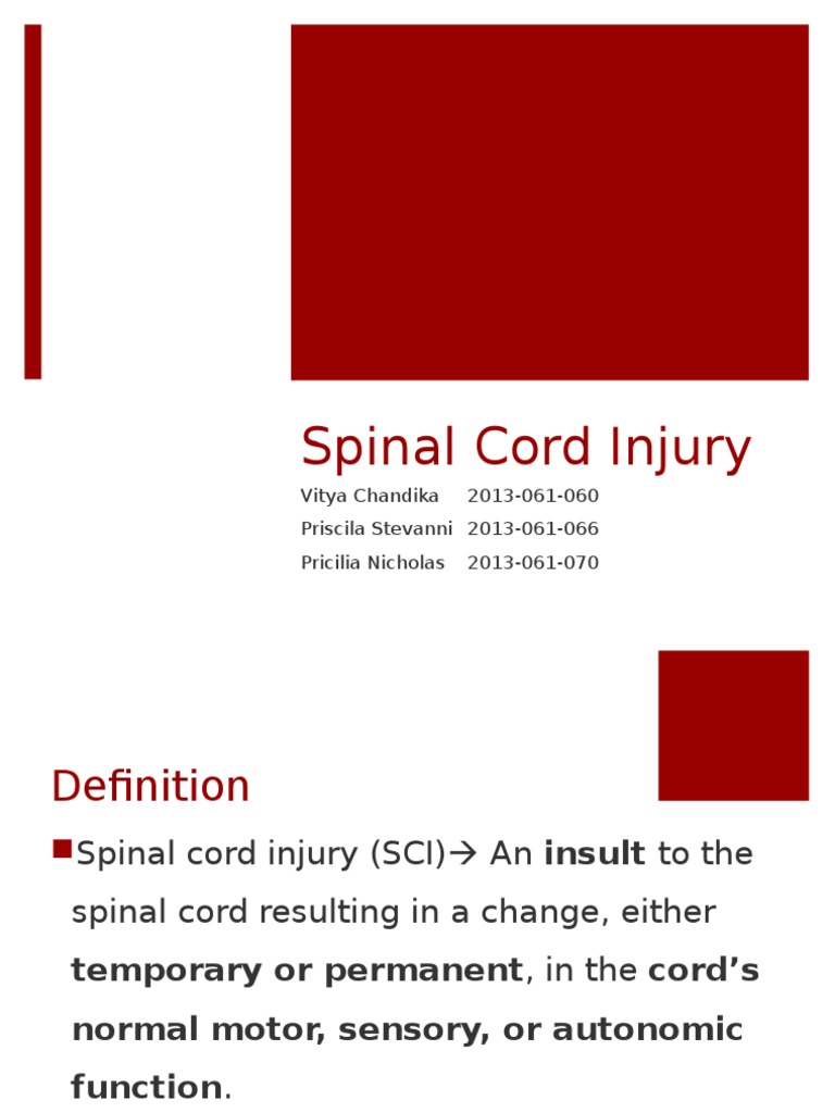 Spinal Cord Injury | PDF | Spinal Cord | Spinal Cord Injury