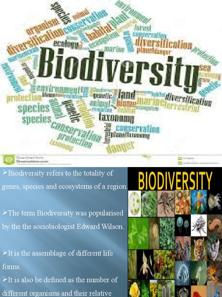 Biodiversity | Genetic Diversity | Biodiversity