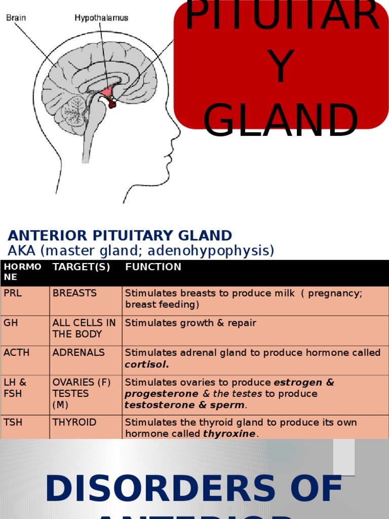 Disorders of Pituitary Gland | PDF | Human Anatomy | Endocrine System