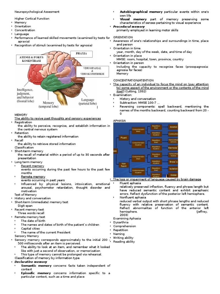 Neuropsychological Assesment | PDF | Parietal Lobe | Memory