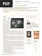 Pasta de Harina Batik | PDF | Pinturas | Pasta