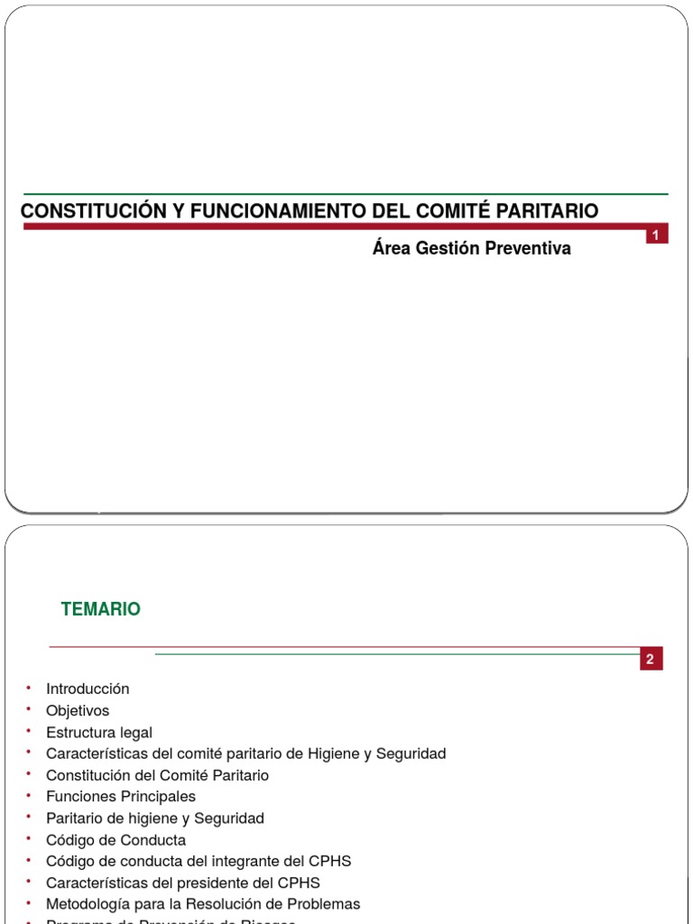 Constitución del Comité Paritario de Seguridad | PDF