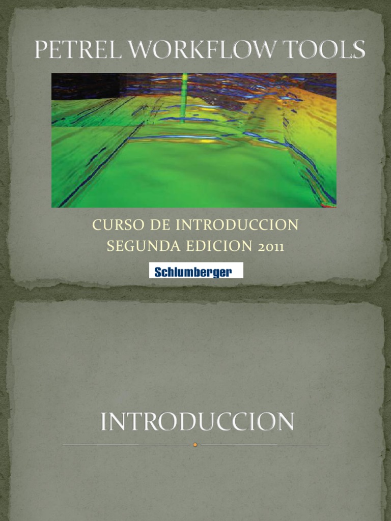 Manual de Petrel | PDF | Dimensión | Tabla (base de datos)